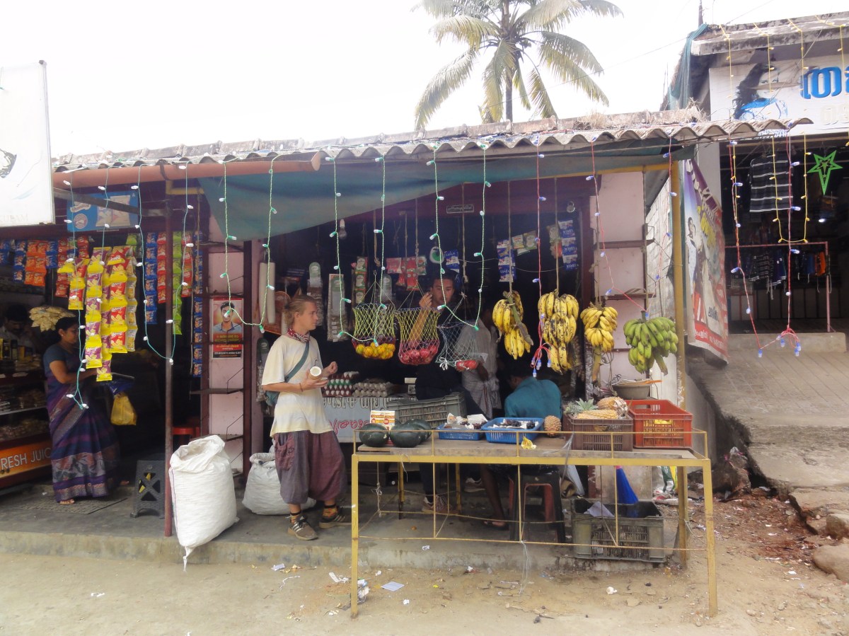 Kerala: Kochi to Munnar with Pablo – Odyssey of August and Linnea